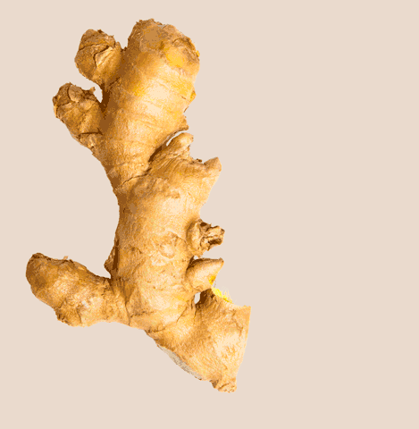 We Love Gingers. - Rebel.Care